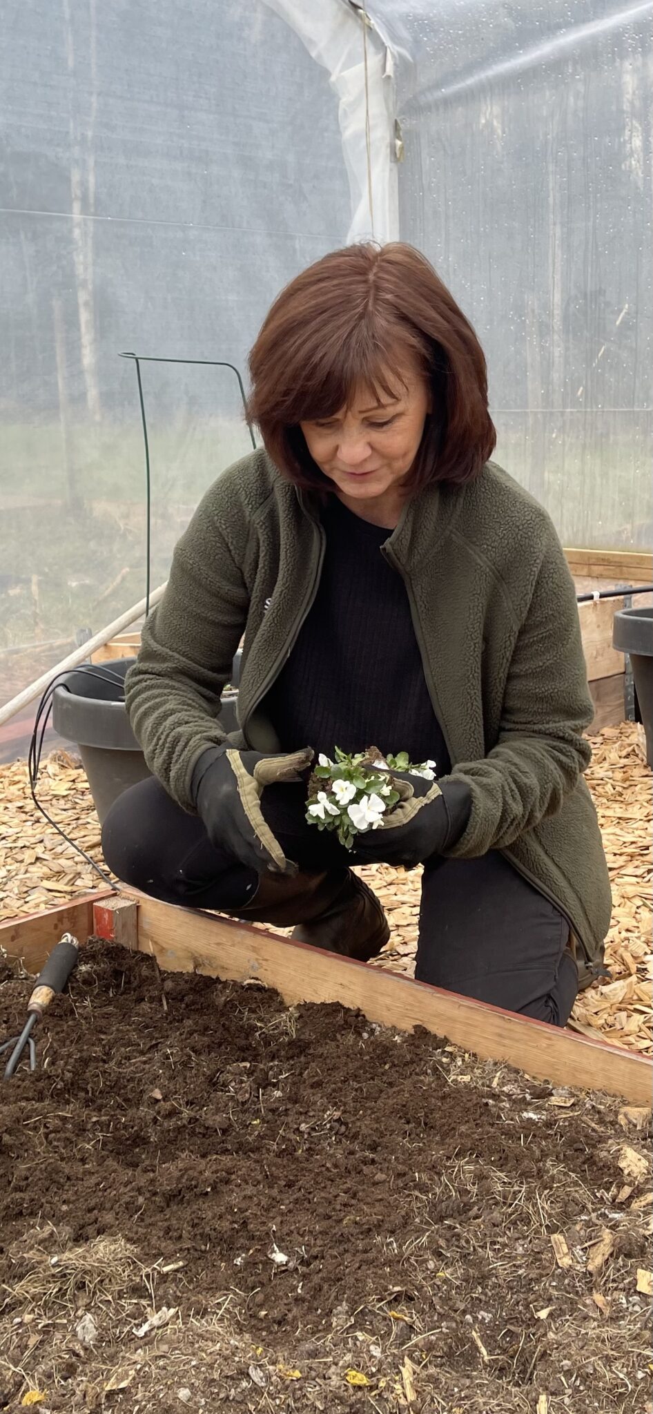 Sting Bioeconomy is joined by a humble veteran in the bioeconomy sector ...